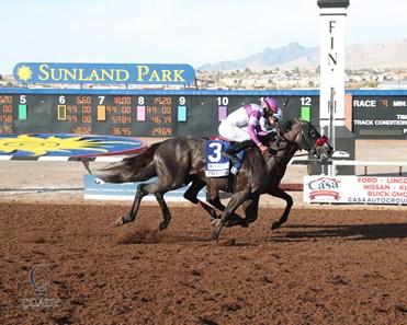 Pavlovian - Horse Profile - BloodHorse
