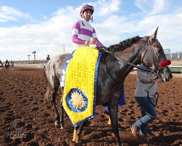 Pavlovian - Horse Profile - BloodHorse