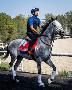 Hit Show - Horse Profile - BloodHorse