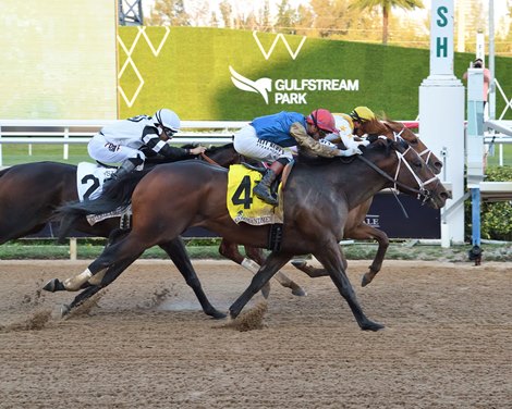 Into Mischief Represented by Classic Prospects - BloodHorse