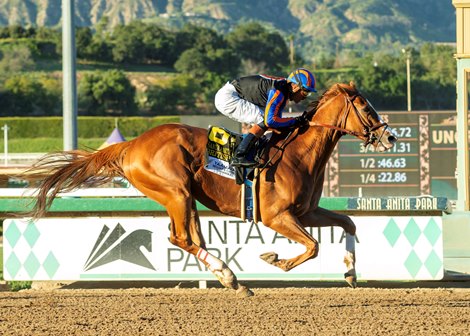 British Isles Rolls in Depleted Santa Anita Handicap - BloodHorse