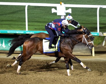 Commandment - Horse Profile - BloodHorse