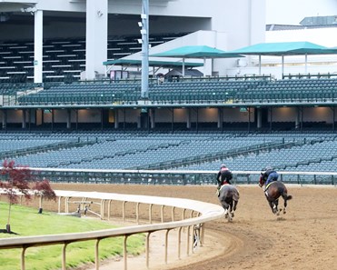 Pavlovian - Horse Profile - BloodHorse