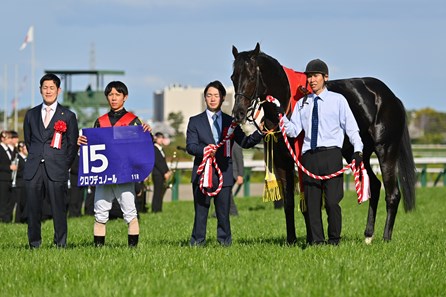 Croix du Nord (JPN) - Horse Profile - BloodHorse
