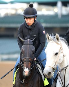 Wonder Dean (JPN) - Horse Profile - BloodHorse