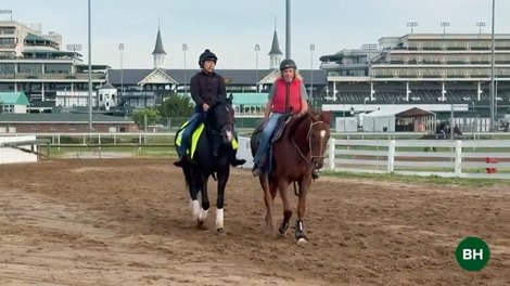 Wonder Dean 'Moving As Well' as He Did in Dubai - Video - - BloodHorse