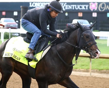 Wonder Dean (JPN) - Horse Profile - BloodHorse