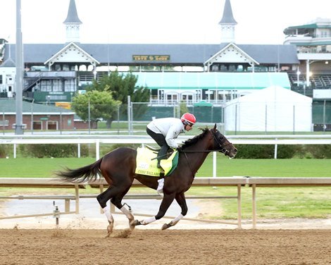Chief Wallabee 'Smooth' Wearing Blinkers in Monday Work - BloodHorse
