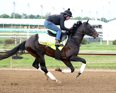 Wonder Dean (JPN) - Horse Profile - BloodHorse