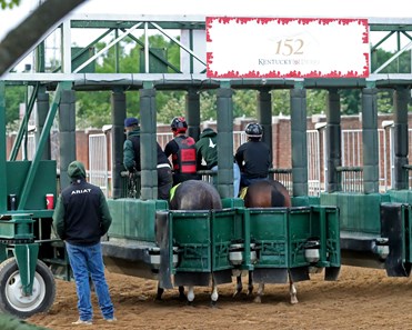 Pavlovian - Horse Profile - BloodHorse