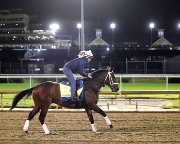 Commandment - Horse Profile - BloodHorse