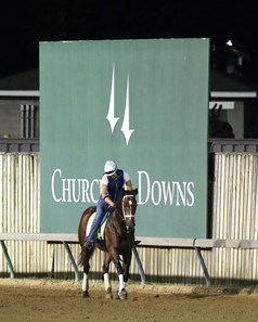 Commandment - Horse Profile - BloodHorse