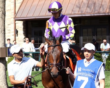Remember Mamba - Horse Profile - BloodHorse