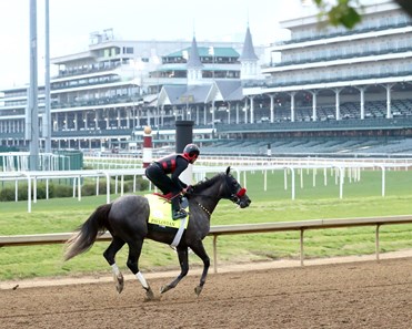 Pavlovian - Horse Profile - BloodHorse