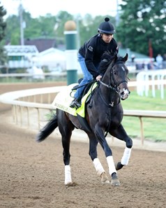Wonder Dean (JPN) - Horse Profile - BloodHorse