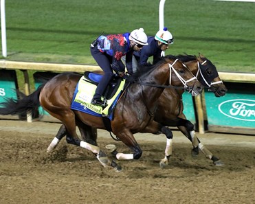 Commandment - Horse Profile - BloodHorse