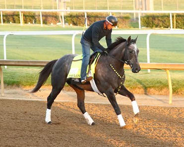 Pavlovian - Horse Profile - BloodHorse