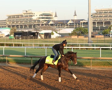 Wonder Dean (JPN) - Horse Profile - BloodHorse