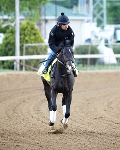 Wonder Dean (JPN) - Horse Profile - BloodHorse