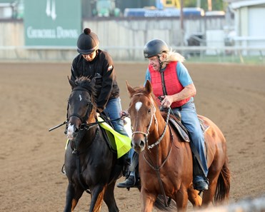 Wonder Dean (JPN) - Horse Profile - BloodHorse