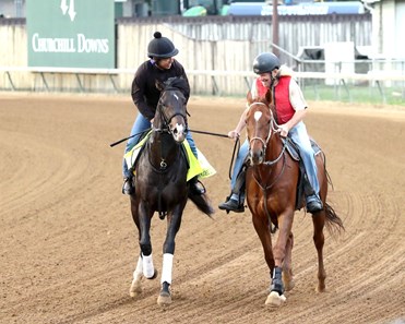 Wonder Dean (JPN) - Horse Profile - BloodHorse