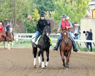 Wonder Dean (JPN) - Horse Profile - BloodHorse