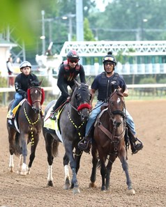 Pavlovian - Horse Profile - BloodHorse
