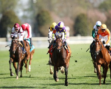 Remember Mamba - Horse Profile - BloodHorse