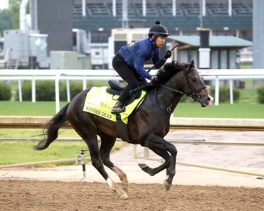Wonder Dean (JPN) - Horse Profile - BloodHorse