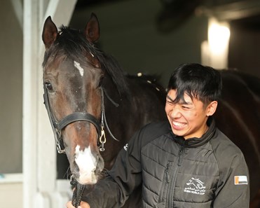 Wonder Dean (JPN) - Horse Profile - BloodHorse