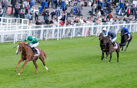 Benvenuto Cellini (IRE) - Horse Profile - BloodHorse