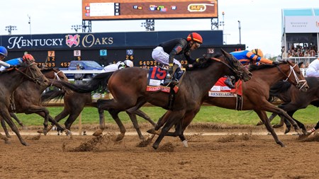 Golden Tempo - Horse Profile - BloodHorse