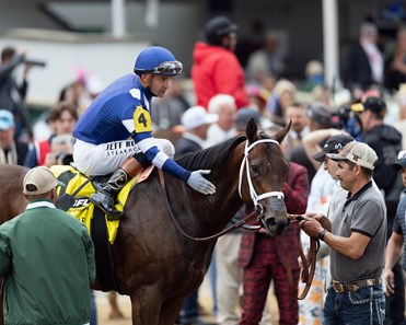 Stark Contrast - Horse Profile - BloodHorse