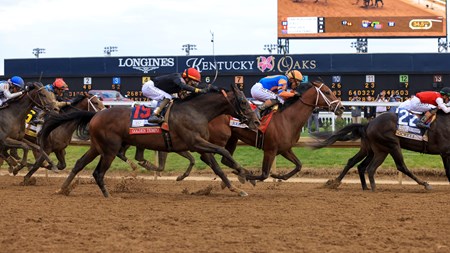 Golden Tempo - Horse Profile - BloodHorse