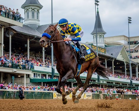 Report: Crude Velocity to Bypass Preakness - BloodHorse