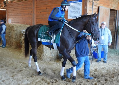 Chip Honcho - Horse Profile - BloodHorse