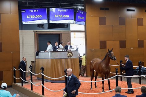 Clay Buys Pair of Classy Colts for Wathnan Racing - BloodHorse