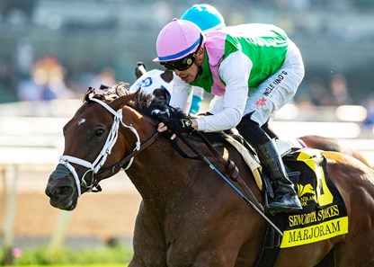 Marjoram - Horse Profile - BloodHorse