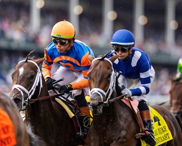 Stark Contrast - Horse Profile - BloodHorse