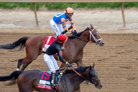 Golden Tempo - Horse Profile - BloodHorse