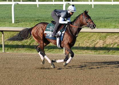 Chip Honcho - Horse Profile - BloodHorse