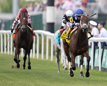 Stark Contrast - Horse Profile - BloodHorse