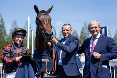 Maltese Cross (FR) - Horse Profile - BloodHorse