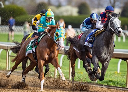 Great White - Horse Profile - BloodHorse