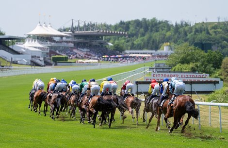 RMG Delivers Record Payments to Shareholder Tracks - BloodHorse