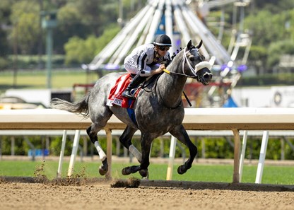 Forged Steel - Horse Profile - BloodHorse