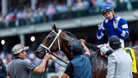 Stark Contrast - Horse Profile - BloodHorse