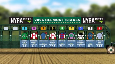 Meet the Field for the 158th Belmont Stakes - Slideshow - BloodHorse