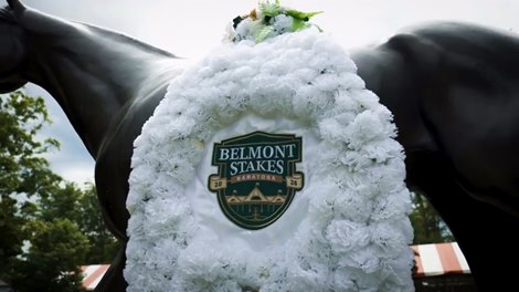 Counting Stars Shines at the Spa at the Acorn Stakes - Video - - BloodHorse