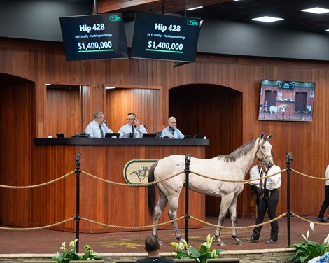 Speedway Stables Goes to $1.4 Million For Justify Filly - BloodHorse
